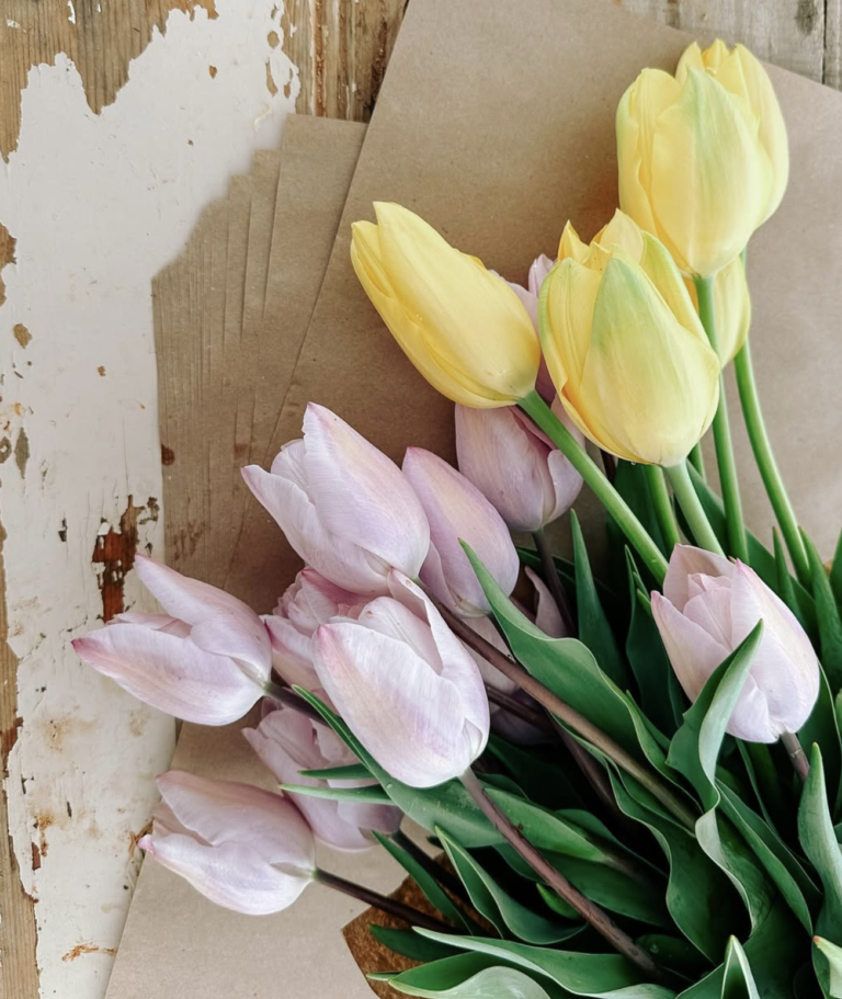 The Fascinating History of Tulips: From Turkey to the Netherlands ...